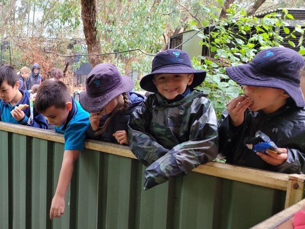 YEAR 2 EXCURSION TO RANGER RED ZOO – SCBC News
